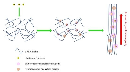 Polymers | Free Full-Text | Effect of Biomass as Nucleating Agents on Crystallization Behavior ...