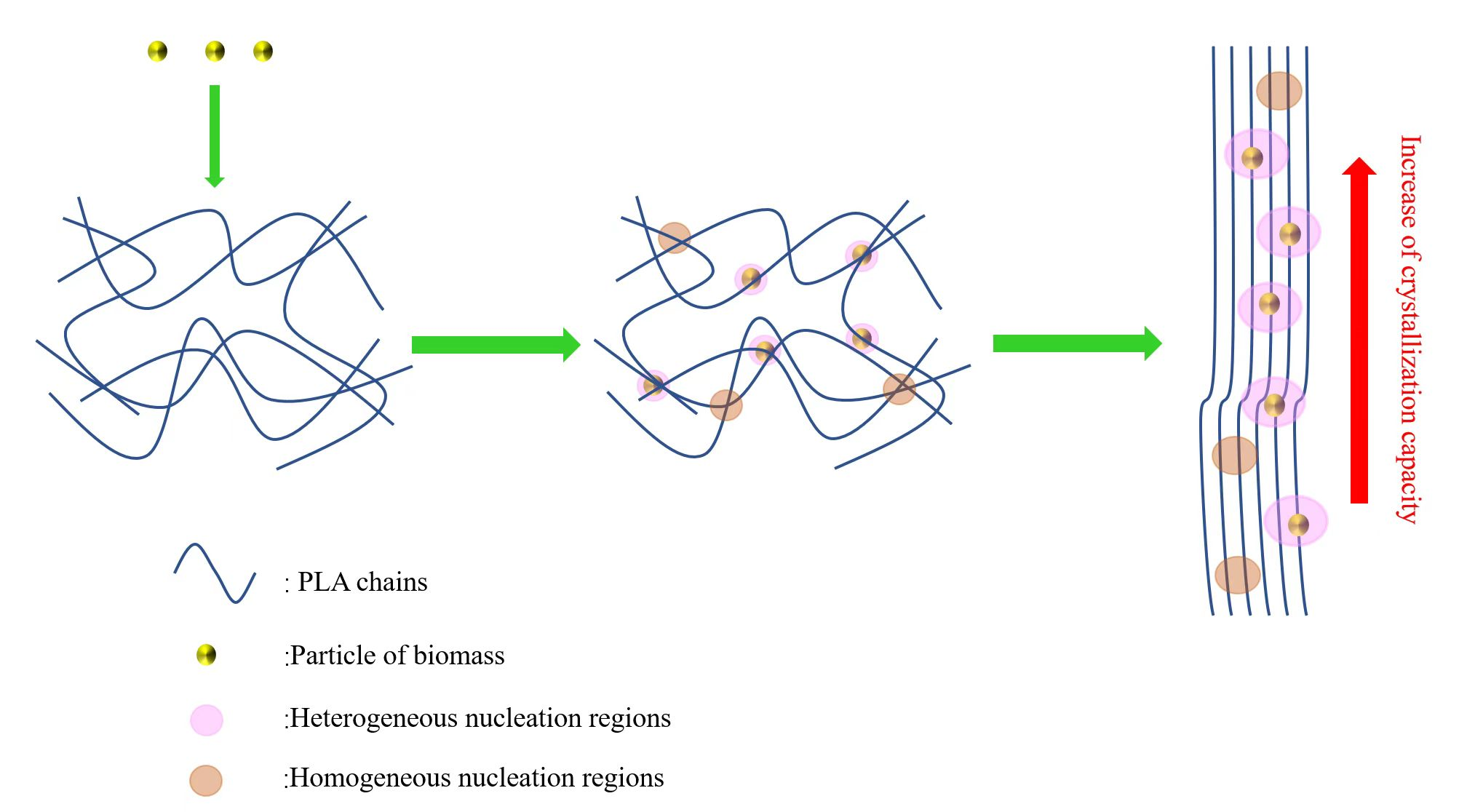 Polymers | Free Full-Text | Effect of Biomass as Nucleating Agents on ...