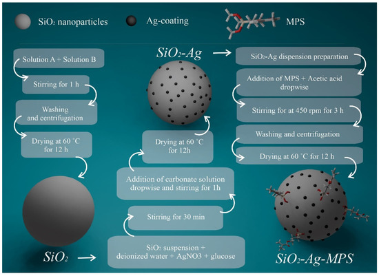 Polymers | Free Full-Text | Silver-Coated Silica Nanoparticles Modified with MPS: Potential ...