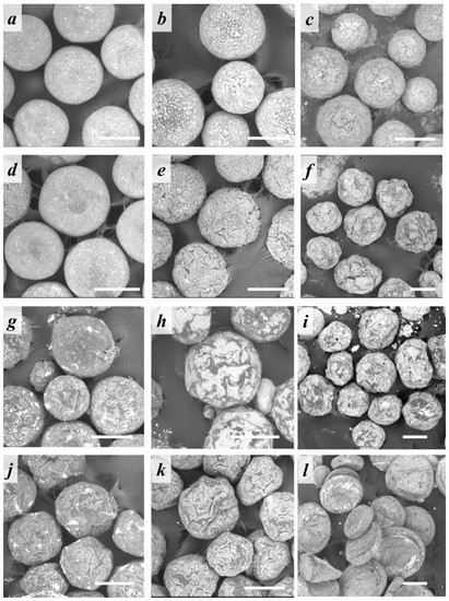 Controlled Structure of Polyester/Hydroxyapatite Microparticles ...