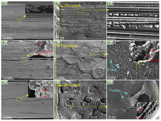Electrothermally Self-Healing Delamination Cracks in Carbon/Epoxy ...