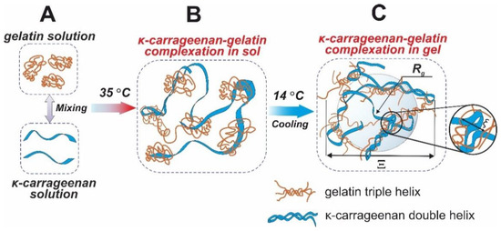 Supramolecular Structure and Mechanical Performance of κ-Carrageenan ...