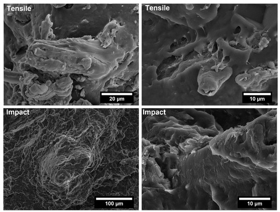 Chemical, Thermal and Mechanical Characterization of Licorice Root ...