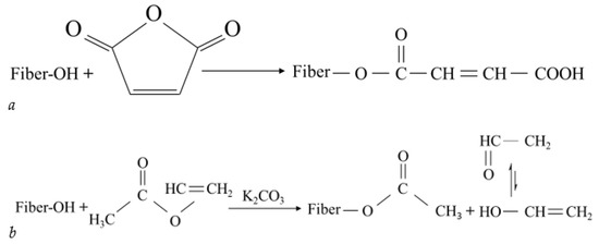 Corn: Its Structure, Polymer, Fiber, Composite, Properties, and ...