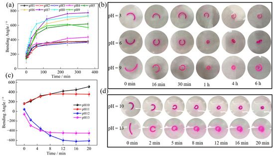 Bioinspired High-Performance Bilayer, pH-Responsive Hydrogel with ...