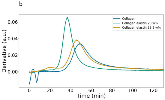 Structural Breakdown of Collagen Type I Elastin Blend Polymerization