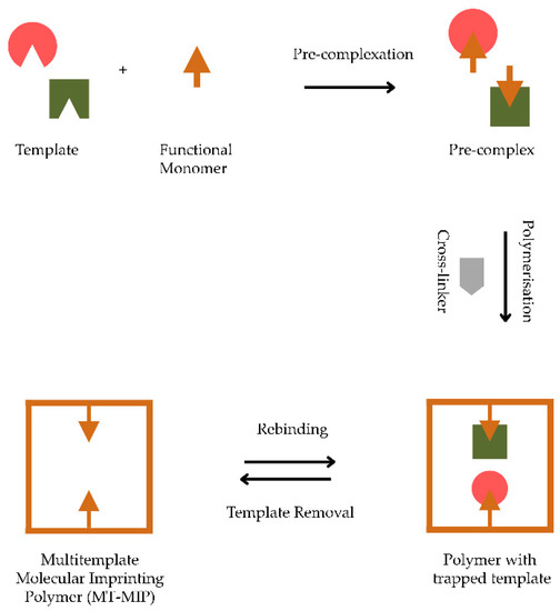 A Review: Using Multiple Templates for Molecular Imprinted Polymer: Is ...