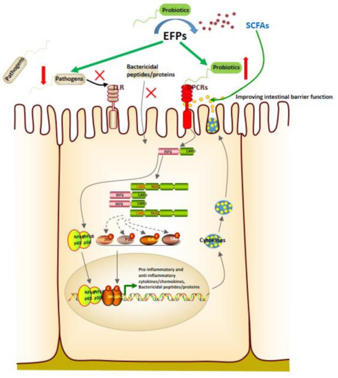 A Review of Development and Utilization for Edible Fungal ...