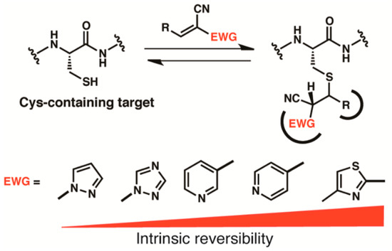 Thia-Michael Reaction: The Route to Promising Covalent Adaptable Networks