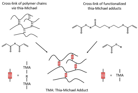 Thia-Michael Reaction: The Route to Promising Covalent Adaptable Networks
