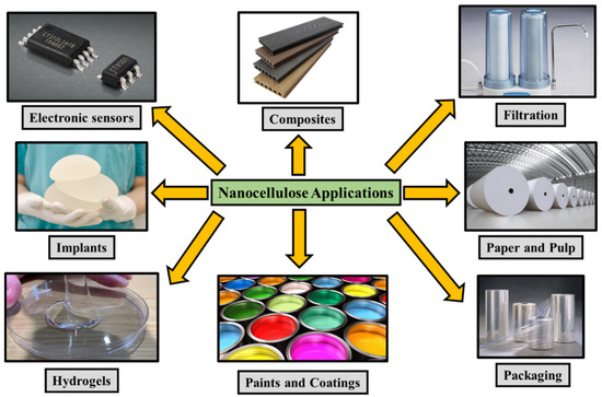 Sources, Chemical Functionalization, and Commercial Applications of Nanocellulose and ...