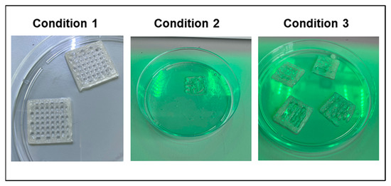 Design of a New 3D Gelatin—Alginate Scaffold Loaded with Cannabis ...