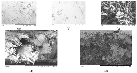 Effect of Microcrystalline Cellulose on the Properties of PBAT ...