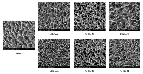 Polymers | Free Full-Text | The Preliminary Assessment of New ...