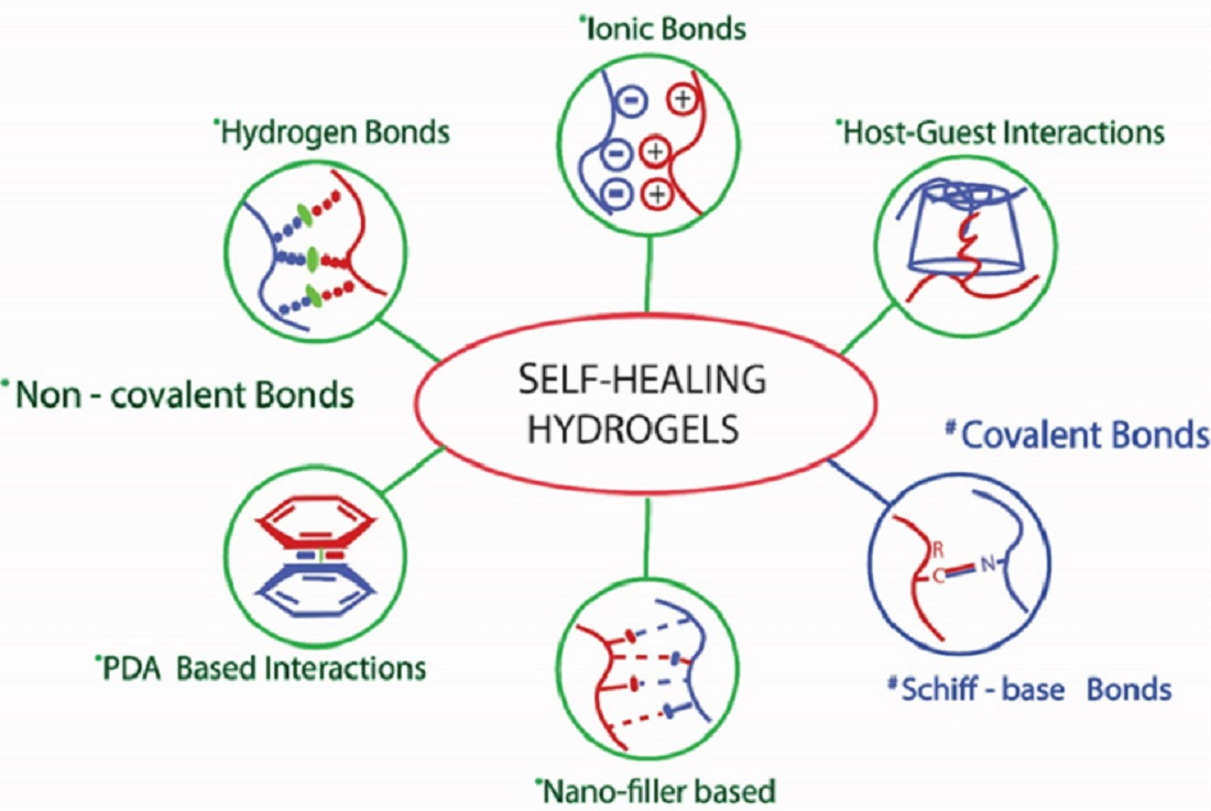 Polymers | Free Full-Text | Self-Healing Hydrogels: Development ...