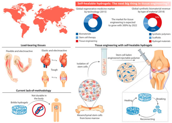 Self-Healing Hydrogels: Development, Biomedical Applications, and Challenges