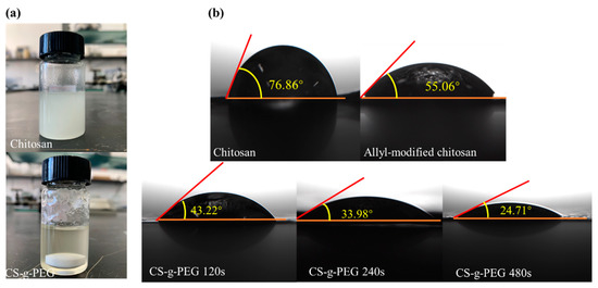 A PEGylated Chitosan as Gel Polymer Electrolyte for Lithium Ion Batteries