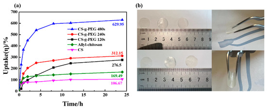 A PEGylated Chitosan as Gel Polymer Electrolyte for Lithium Ion Batteries