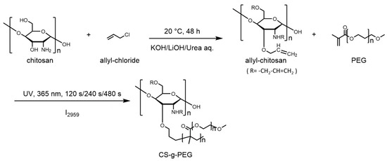 A PEGylated Chitosan as Gel Polymer Electrolyte for Lithium Ion Batteries