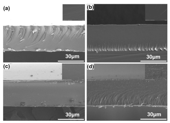 Synthesis and Characterization of Schiff Base Polymers via Metal ...