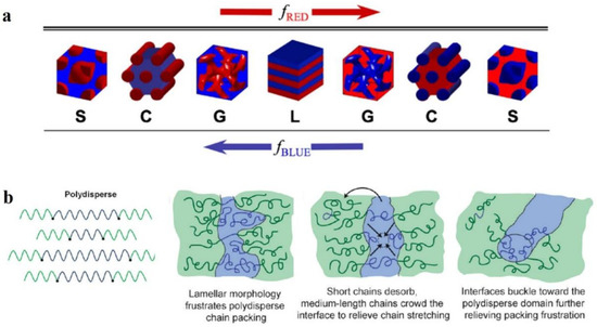 Polymers | Free Full-Text | Well-Defined Nanostructures by Block Copolymers and Mass Transport ...