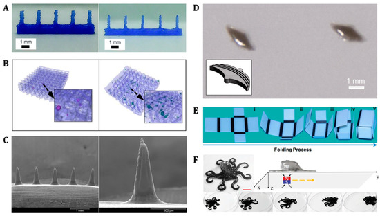 Advances in Biodegradable Soft Robots