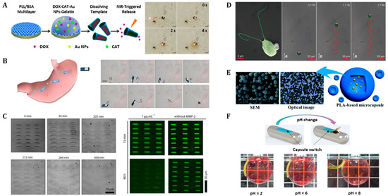 Advances in Biodegradable Soft Robots
