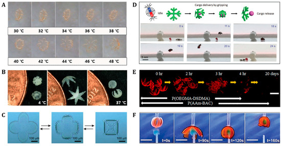 Advances in Biodegradable Soft Robots