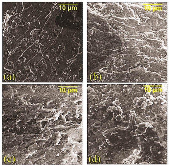 Effect of Microwave Irradiation at Different Stages of Manufacturing ...