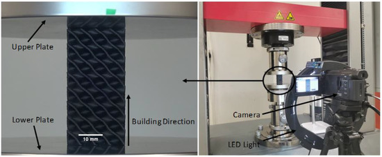Polymers | Free Full-Text | Compression Performance and Failure ...
