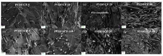 Enhancing Thermal Conductivity of Polyvinylidene Fluoride Composites by ...