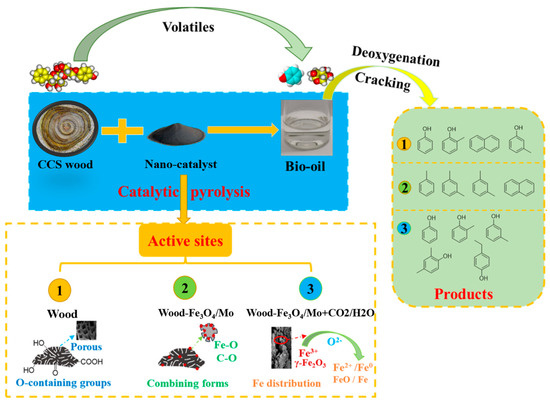 Nano Catalysis of Biofuels and Biochemicals from Cotinus coggygria Scop ...
