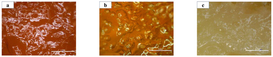 Evaluation of Mechanical Properties of Porous Chitosan/Gelatin ...