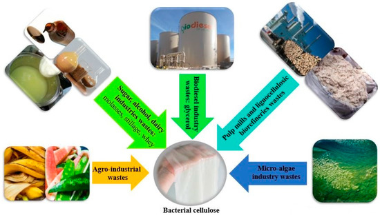 Bacterial Cellulose-Based Polymer Nanocomposites: A Review
