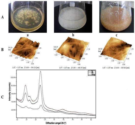Bacterial Cellulose-Based Polymer Nanocomposites: A Review