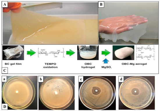 Bacterial Cellulose-Based Polymer Nanocomposites: A Review