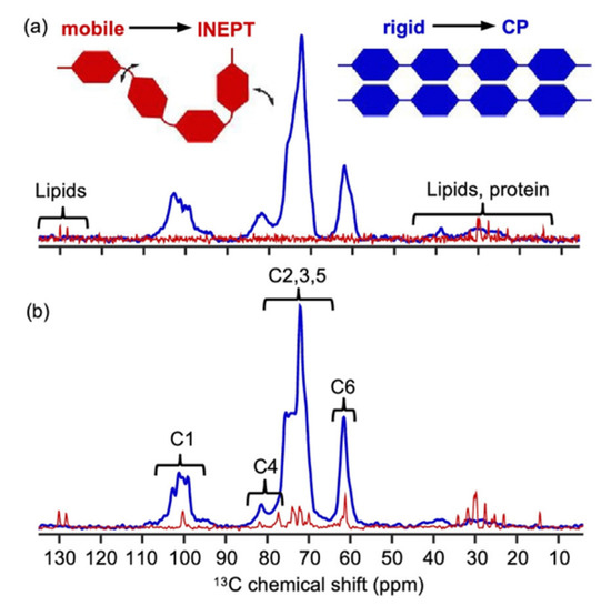 Solid-State NMR Spectroscopy: Towards Structural Insights into Starch-Based Materials in the ...
