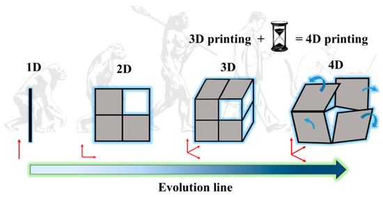 On the Evolution of Additive Manufacturing (3D/4D Printing ...
