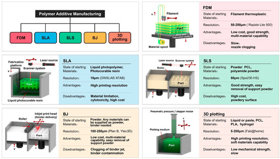 On the Evolution of Additive Manufacturing (3D/4D Printing ...