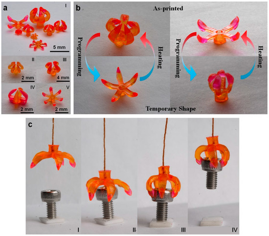 On the Evolution of Additive Manufacturing (3D/4D Printing ...