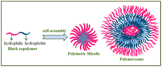 Amphiphilic Block Copolymers: Their Structures, and Self-Assembly to Polymeric Micelles and ...