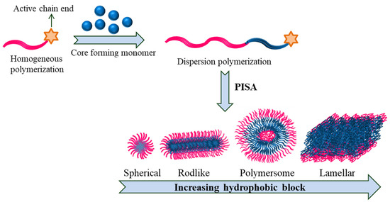 Amphiphilic Block Copolymers: Their Structures, and Self-Assembly to ...