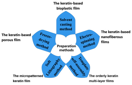 Preparation Methods and Functional Characteristics of Regenerated ...