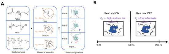 Examining the Effect of Polymer Extension on Protein–Polymer ...