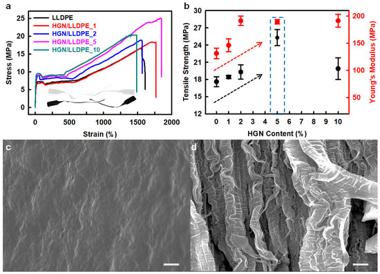 Graphene/Polymer Nanocomposites: Preparation, Mechanical Properties ...