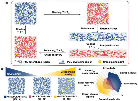 Influences of Crystallinity and Crosslinking Density on the Shape Recovery Force in Poly(ε ...