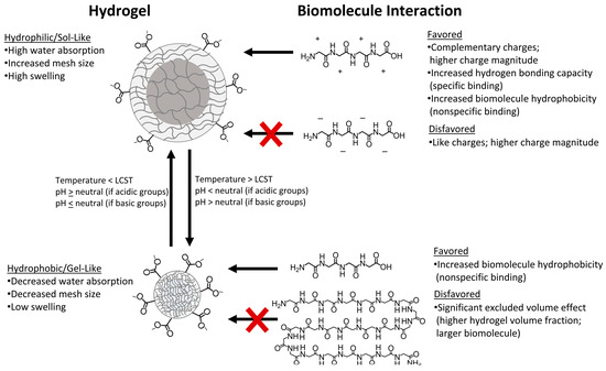 Green Hydrogel Synthesis: Emphasis on Proteomics and Polymer Particle-Protein Interaction