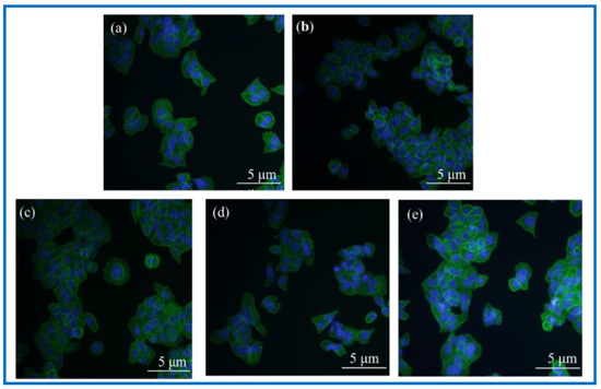 Preparation of 3D Printed Polylactic Acid/Bacterial Cellulose Composite Scaffold for Tissue ...