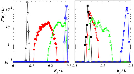 Self-Attractive Semiflexible Polymers under an External Force Field