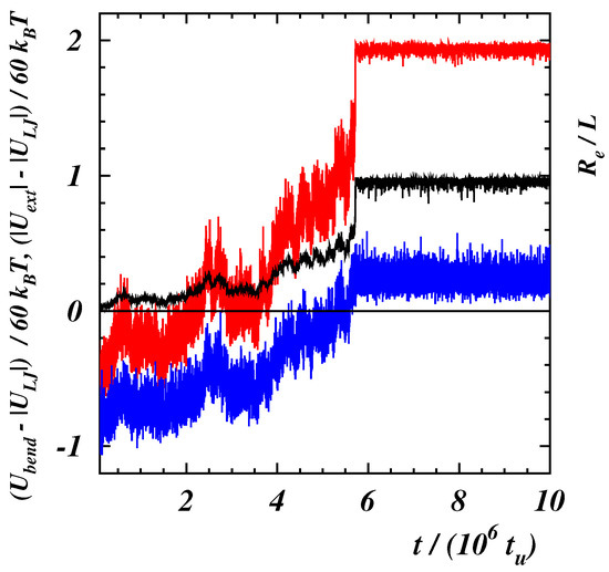 Self-Attractive Semiflexible Polymers under an External Force Field